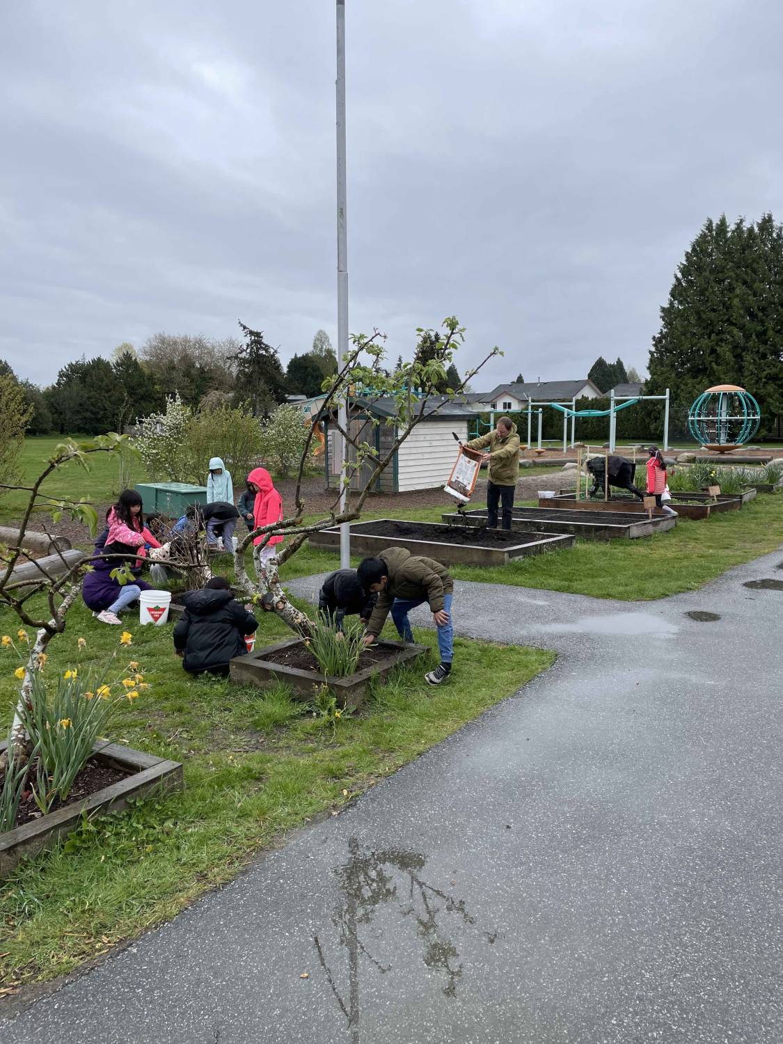 Our School Garden | Quilchena Elementary School Our School Garden | Quilchena Elementary School