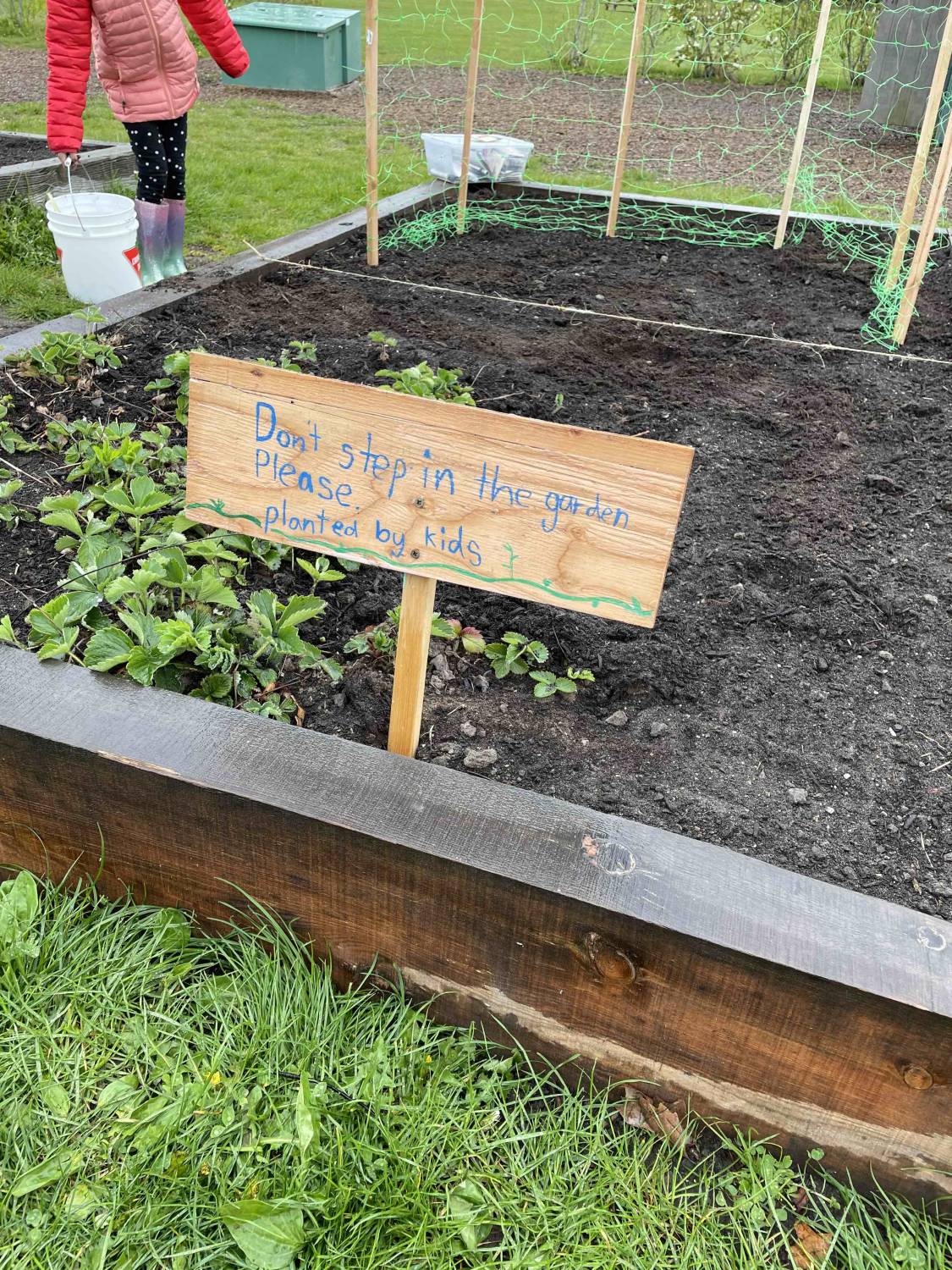 Our School Garden | Quilchena Elementary School Our School Garden | Quilchena Elementary School