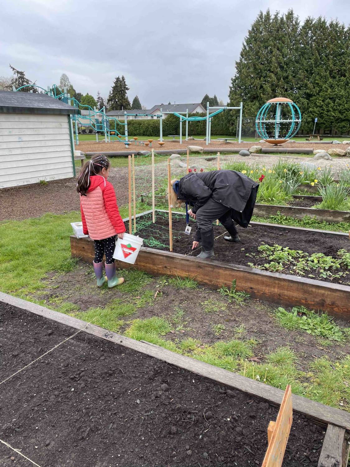 Our School Garden | Quilchena Elementary School Our School Garden | Quilchena Elementary School
